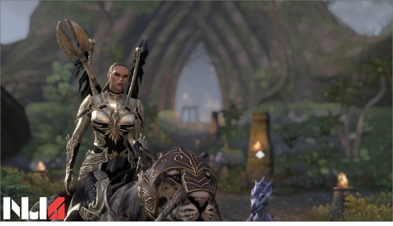 Understanding Depth of Field: A Quick Guide - NUA Dev