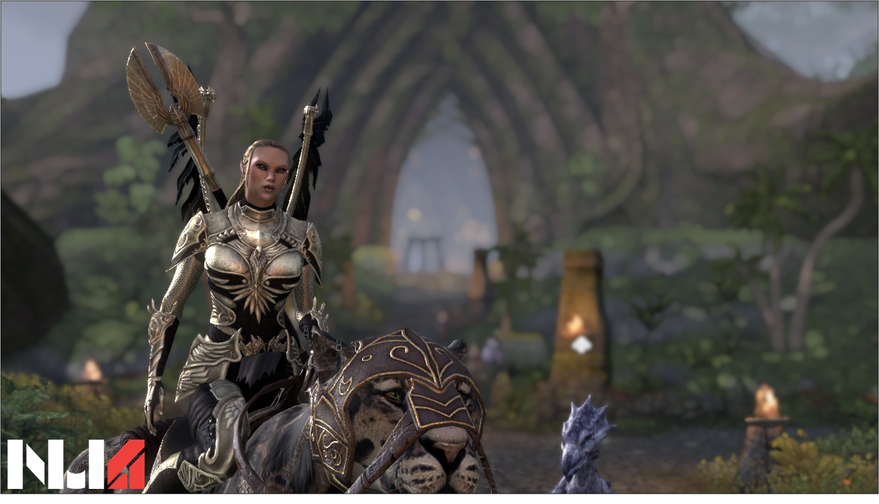 Understanding Depth of Field: A Quick Guide - NUA Dev